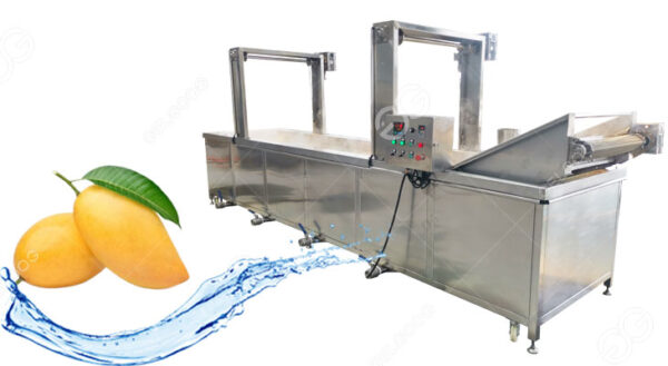 Mango Hot Water Treatment Machine With Auto Heating System