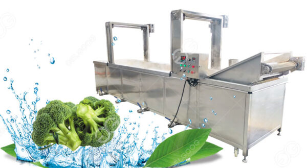 Automatic Broccoli Vegetable Blanching Machine - Vegetablemachines