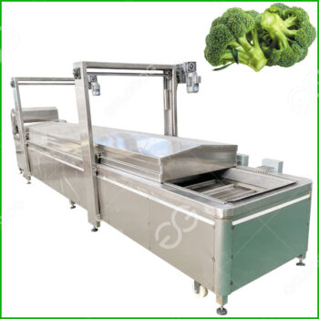 Automatic Broccoli Vegetable Blanching Machine - Vegetablemachines
