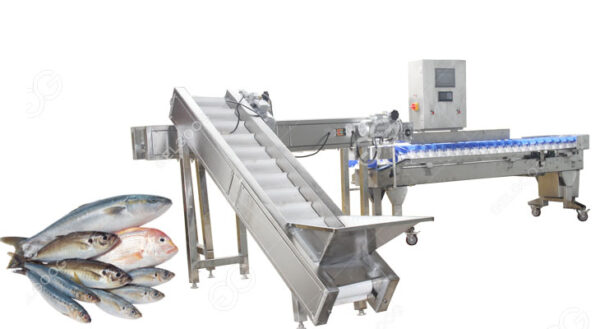 Auto Fish Grading Machine For Seafood Weight Sorting