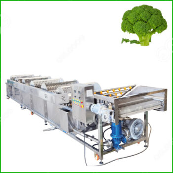 Industrial Cauliflower Broccoli Washing Machine - Vegetablemachines
