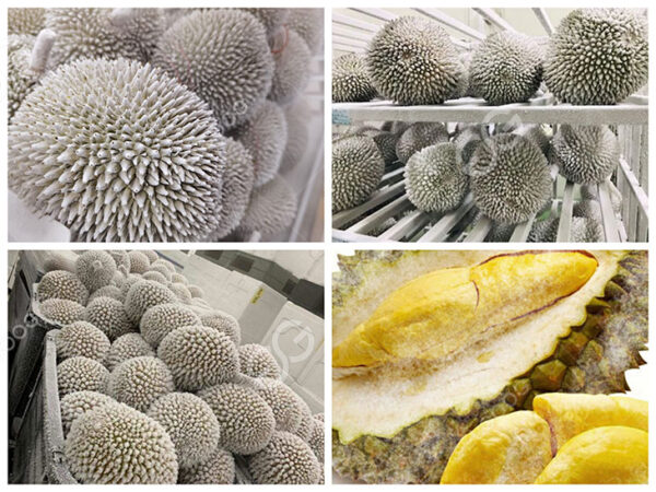 Durian Quick Freezing Machine