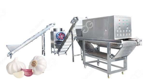Garlic Cloves Peeling Machine With 98% Peeling Rate