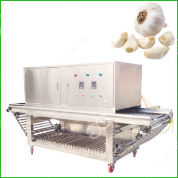 Garlic Cloves Peeling Machine With 98% Peeling Rate