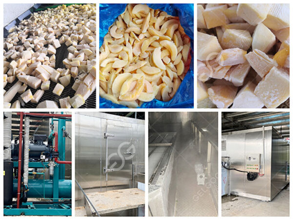 Automatic Mango Industrial Quick Freezing Machine