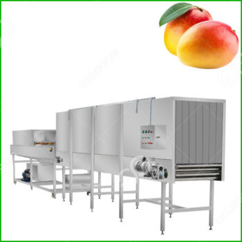 Automatic Mango Fruit Waxing Machine