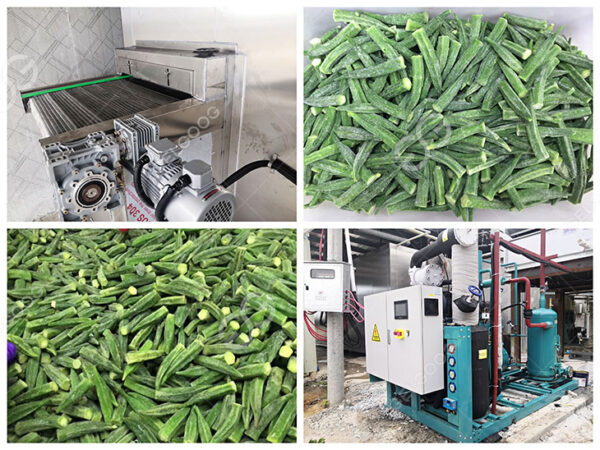Continous Okra Tunnel Quick Freezing Machine