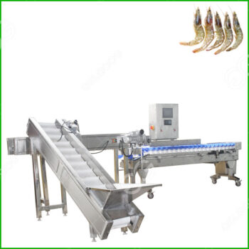 Automatic Prawns Weight Sorting Shrimp Grading Machine