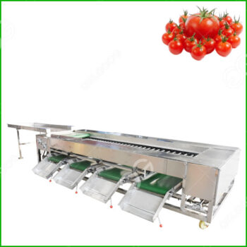 Automatic Tomato Sorting Grading Machine By Rolling Rollers