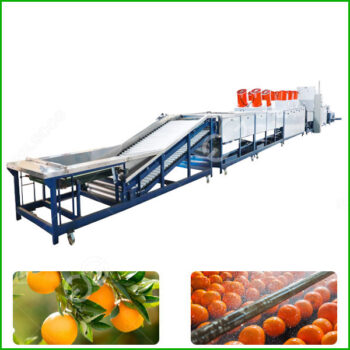 Automatic Citrus Fruits Washing And Waxing Processing Line