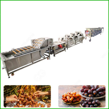 Dates Fruits Washing Drying Grading Processing Machinery