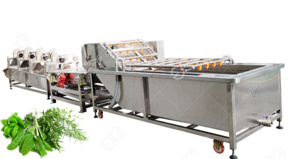 Industrial Herbs Leaves Washing And Drying Machine