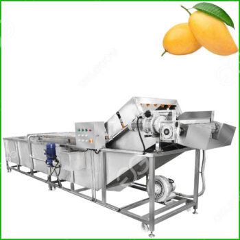 Commercial Mango Fruits Bubble Washing Cleaning Machine