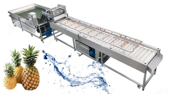 Automatic Pineapple Bubble Fruits Washing Machine