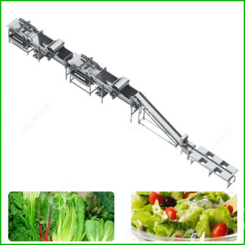 Automatic Leafy Vegetable Salad Processing Line