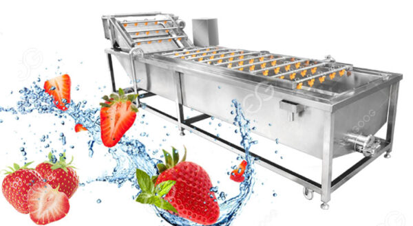 Automatic Strawberry Fruits Bubble Washing Machine