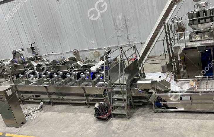 News - Vegetablemachines