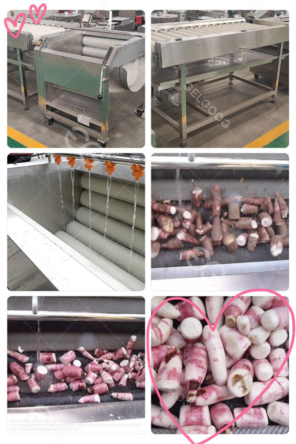 Industrial 400kg/h Cassava Washing And Peeling Machine
